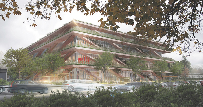 BATOREGO 8 | Gazeta SGH